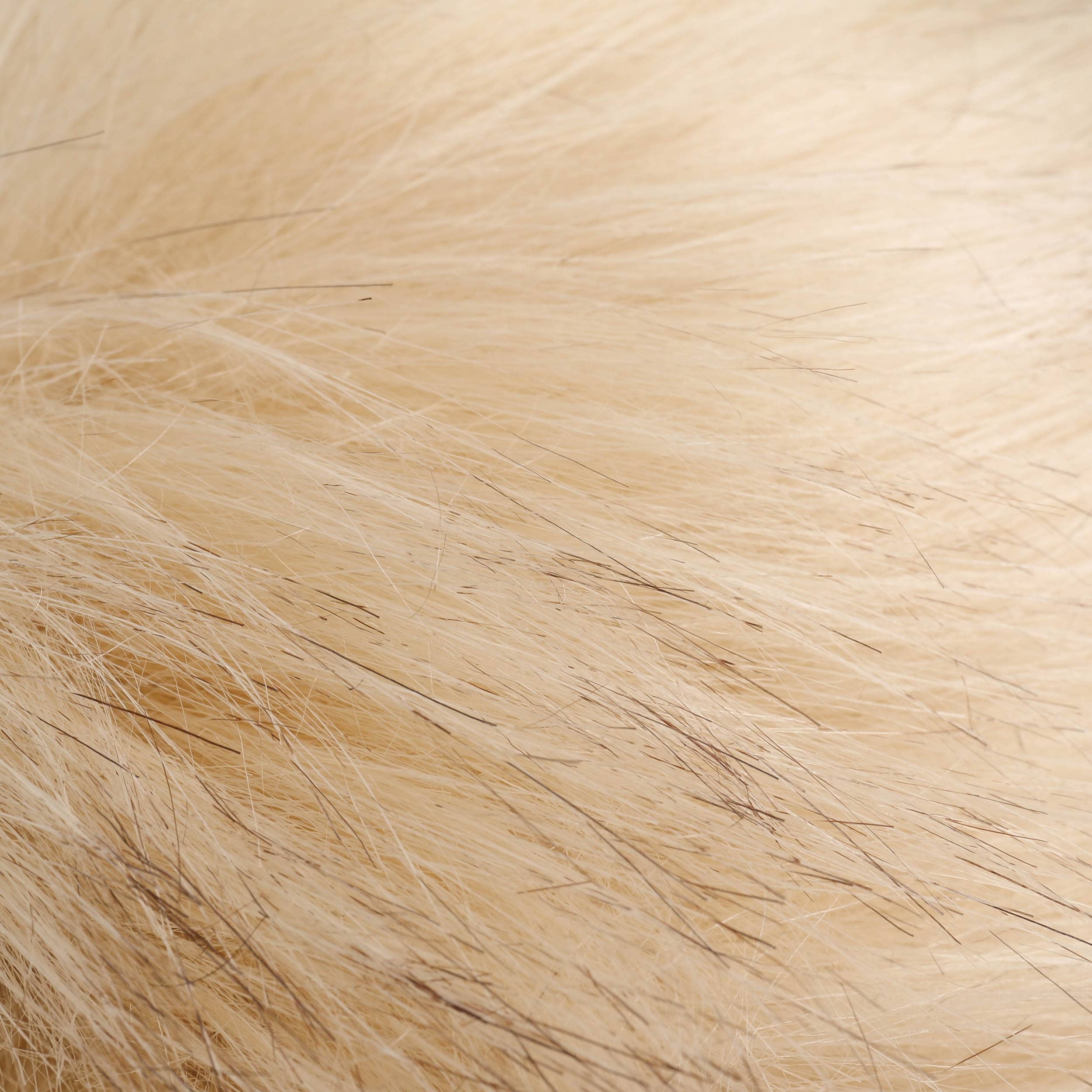 Tamisa Milled Wool Hat by Seeberger - £89.95